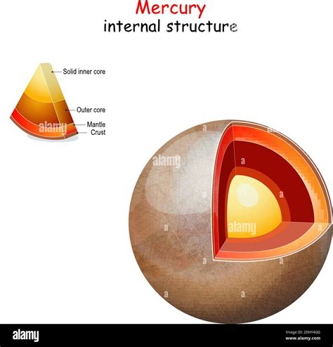 Internal Structure Terrestrial Planets Stock Vector Images Alamy
