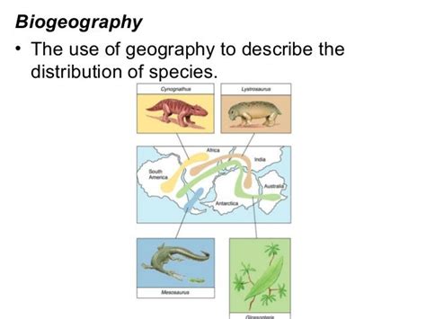 Evidence For Evolution