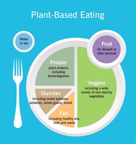 What Is A Plant Based Diet Is It Vegan Is It Healthy