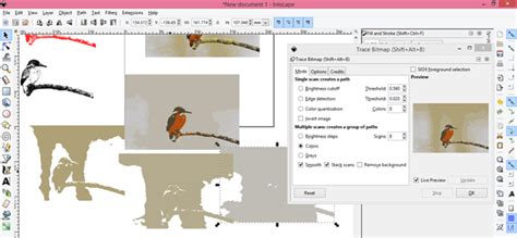 convert bitmap to vector inkscape radpna