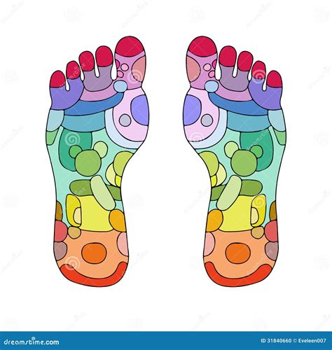 Reflexology Foot Massage Points Stock Vector Illustration Of Finger