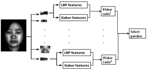 symmetry free full text hyperspectral face recognition with patch