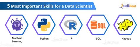 data scientist roles and responsibilities intellipaat