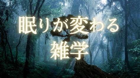 心と体を開放する睡眠導入雑学 とろけるほど快眠 Youtube