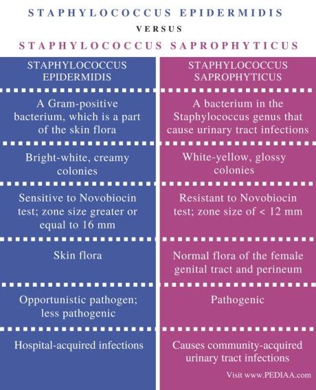 Difference Between Staphylococcus Epidermidis And Staphylococcus