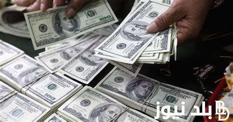 الاخضر بكام سعر الدولار مقابل الجنيه المصري في السوق السوداء اليوم
