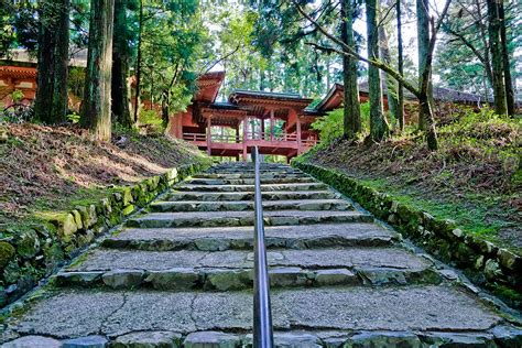 日本京都比叡山，国宝级的佛国大樱花山道