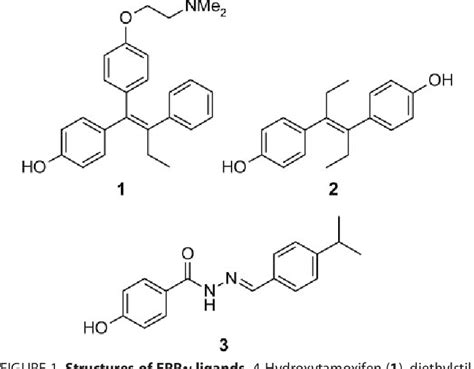 Figure 1 From X Ray Crystal Structures Of The Estrogen Related Receptor