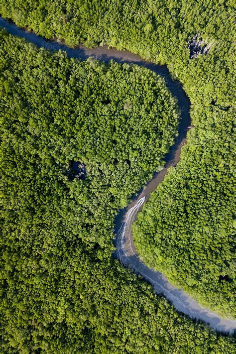 «a Boat Is Driving Through The Rainforest As The River Bends Del