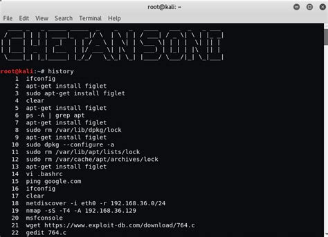 top 20 basic kali linux commands