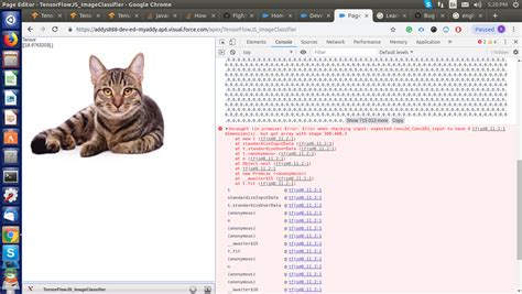 keras how to add images in a tensorflow js model and train the model