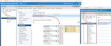 copy or clone distributed virtual switch portgroups to