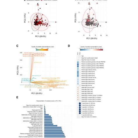 Epitope Specific Cd8 T Cell Magnitude And Phenotype Before And After