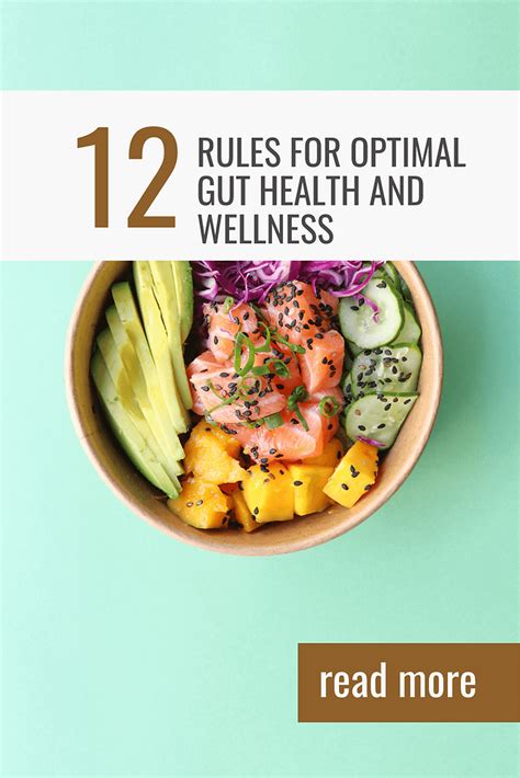 Healthy Gut Happy Life 12 Rules For Optimal Gut Health And Wellness