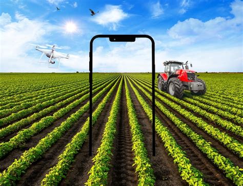 Premium Photo 3d Illustration Of Farm Crops With Smartphone On The