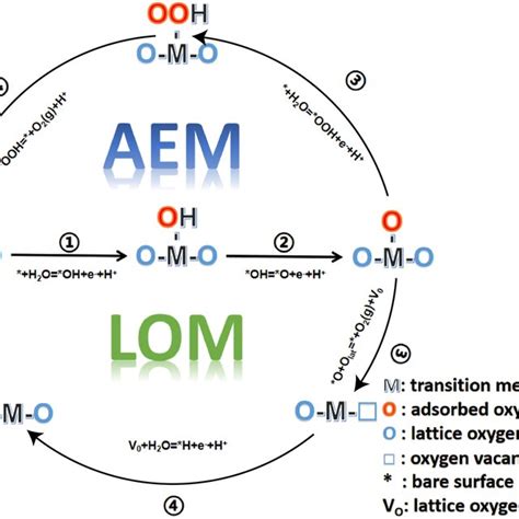 Crystal Structures Of α Mno2 β Mno2 γ Mno2 δ Mno2 And λ Mno2