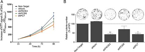 In Vitro Cell Growth Assay A Xtt Assays Were Performed For Each