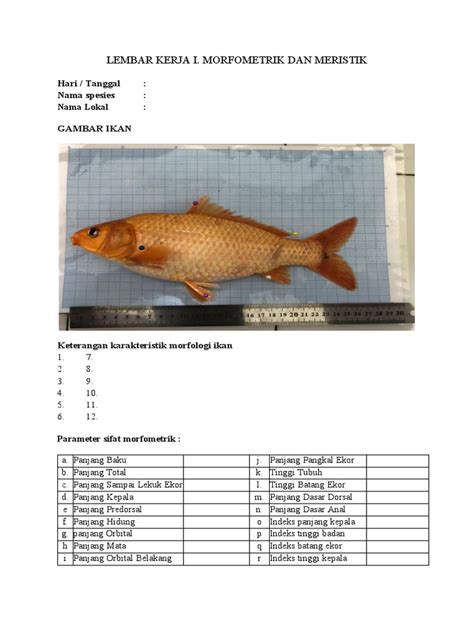 Morfologi Dan Morfometrik Ikan Pdf