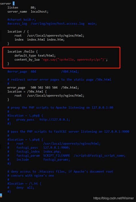 openresty 入门教程 openresty教程 csdn博客