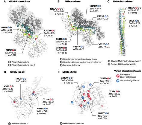 A Resource Of Variant Effect Predictions Of Single Nucleotide Variants