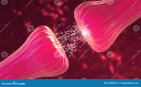 Neuronal And Synapse Activity Animation Showing Chemical Messengers Or