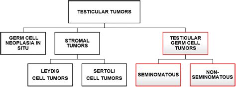 Scielo Brasil Semen Quality From Patients Affected By Seminomatous