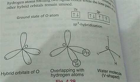 H2o Hybridization
