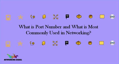 What Is Port Number And What Is Most Commonly Used In Networking
