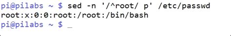 understanding the basics of sed mastering linux shell scripting