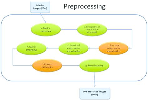 preprocessing pipeline the preprocessing pipeline for functional and