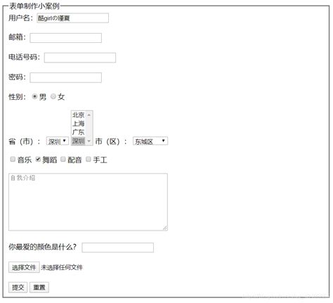 html（2）表单制作练习 步骤一 插入 标签 在 标签中插入一个10行2列的表格 注意适当设 csdn博客