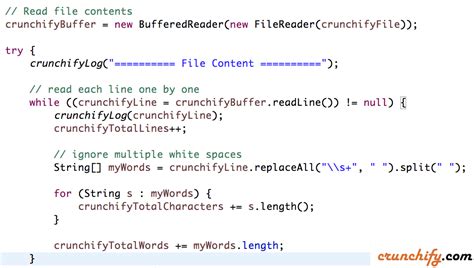 how to read file in java and count total number of characters words