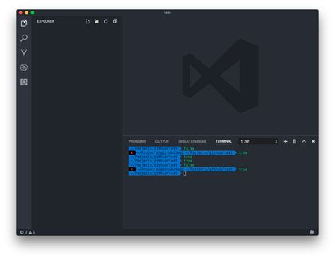 duplicated shell prompt in integrated terminal · issue 28259