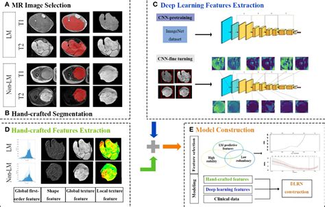 Frontiers Deep Learning Radiomics Nomogram To Predict Lung Metastasis