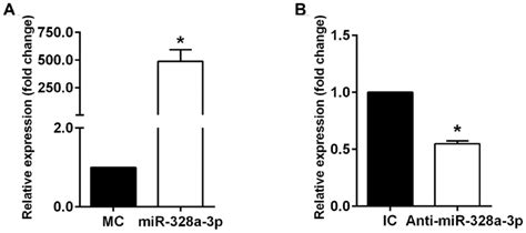 Transfection Efficiency Of Mir 328a 3p Mimics Or Inhibitor A