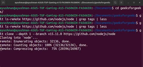 cómo solucionarlo sudo npm comando no encontrado en linux barcelona