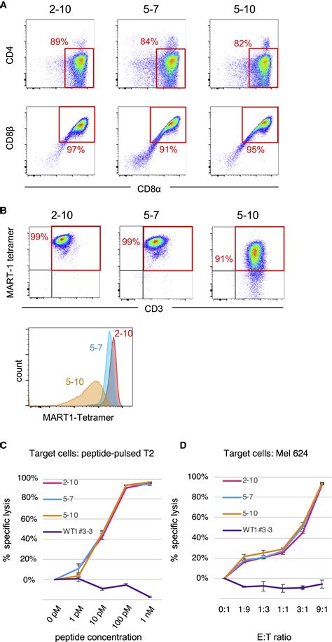 High Frequency Production Of T Cell Derived Ipsc Clones Capable Of