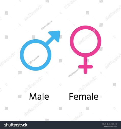 Male Female Gender Symbols Orientation Signs Stock Vector Royalty Free