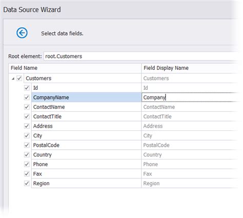 bind a report to json data reporting devexpress documentation