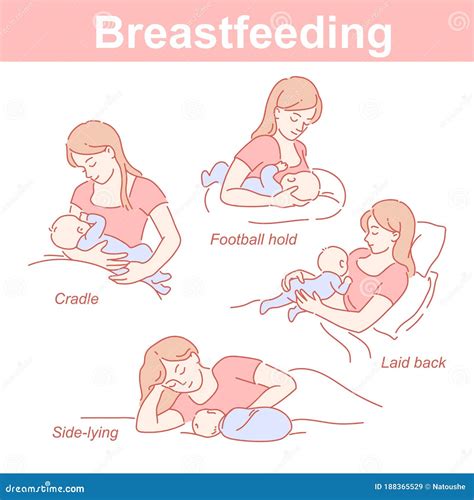Breastfeeding Positions Stock Illustrations 142 Breastfeeding