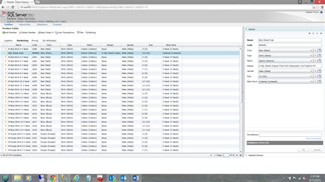 using master data services in sql server to quickly create