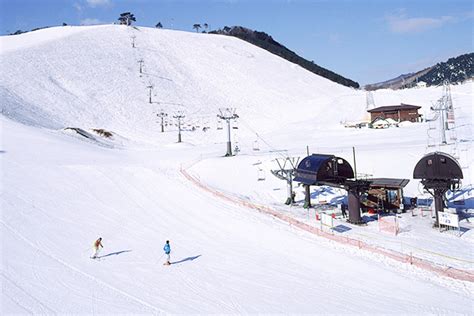 スキー場特集 たじま旅ネット｜兵庫県北部・但馬を巡る旅のポータルサイト