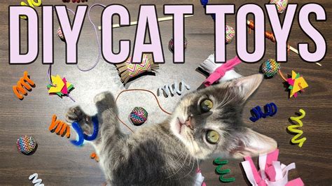 Cat Enrichment Toys Diy Wow Blog
