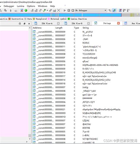 ida 64 string中文乱码 ida gb2312 csdn博客