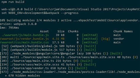 asp core angular and webpack webpack transpiling