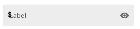 show prefix text in textfield even when it is not in focus and empty