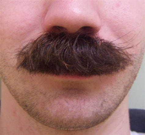 Dense Moustache Overskæg