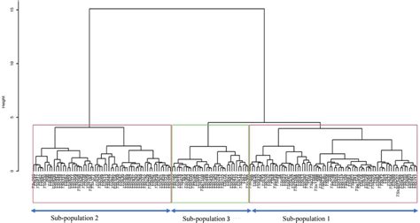 hierarchical cluster dendrogram based on gower distance matrix of 26