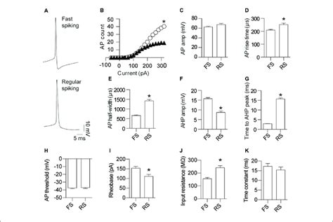 Fast Spiking Fs And Regular Spiking Rs Interneurons Ins Are